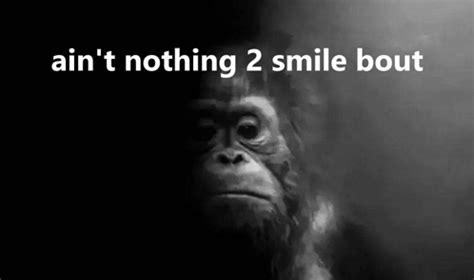 Aint Nothing 2 Smile Bout Meme Aint Nothing 2 Smile Bout Discover