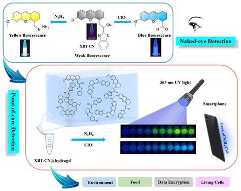 Hydrazine Molecular Orbital Diagram