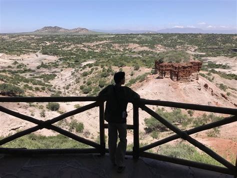Travel Wild East Africa 나이로비 Travel Wild East Africa의 리뷰 트립어드바이저