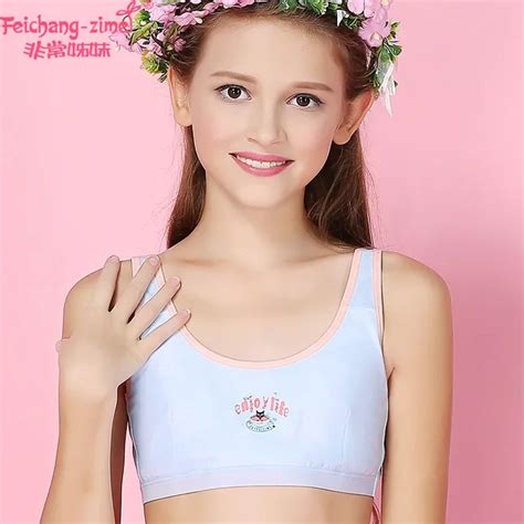 New Arrival Feichangzimei Teenage Girl Underwear Cotton Gray Blue AA