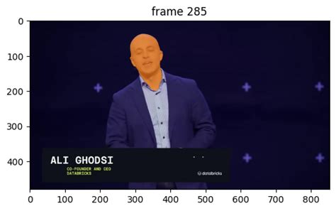 Sam2 On Databricks — Databricks Devrel Example Notebooks