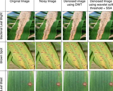 Conventional Dwt Method Vs Proposed Denoising Technique Download