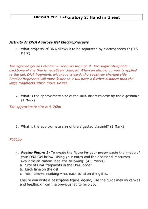Biosci Lab Cellular And Molecular Biology Studocu