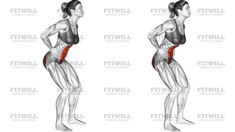 How To Do Standing Pelvic Tilt Techniques Benefits Tips And Tricks