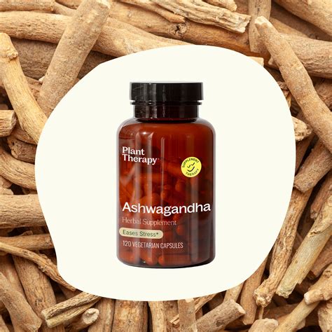 Ashwagandha Capsules Ashwagandha Supplement Plant Therapy