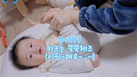 귀여운 체조 당하기 Youtube