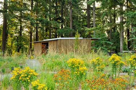 Oregon Botanical Garden Updated By Land Morphology And Olson Kundig