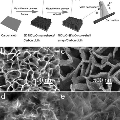 Synthesis Procedure And The Morphologies Of The Products A Schematic