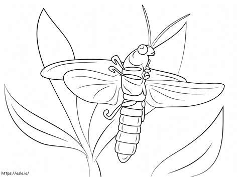Lightning Bug Coloring Page