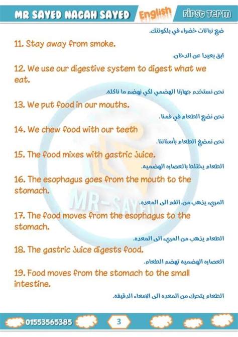 إجابات كتاب المعاصر كونكت في اللغة الإنجليزية للصف الرابع الابتدائي ترم أول 2023 مس عبير