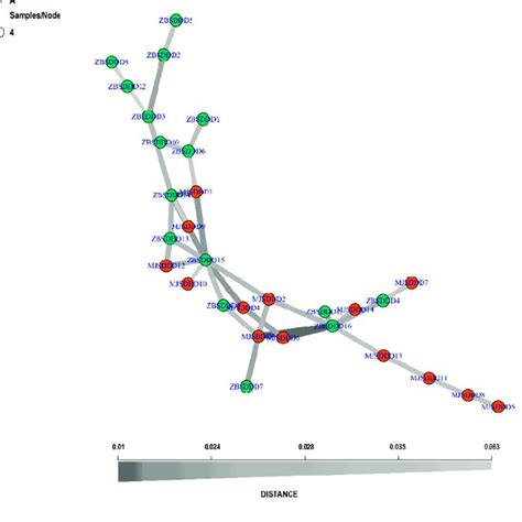 The Distance Matrix Heatmap Of 30 Individuals Of L Kasmira Created Download Scientific Diagram