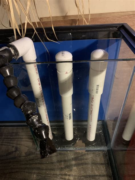 Need Help With An Overflow Reef Reef