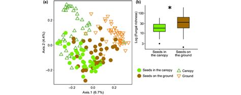 Fungal Community Composition And Richness Of Seeds Of Sessile Oak Download Scientific Diagram