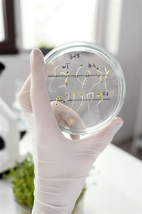 Nanopore Sequencing Revolutionizing The Future Of Genomics By