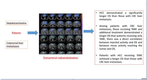 The Influence Of Additional Treatments Injected Activity And Mean Dose To The Tumor On The