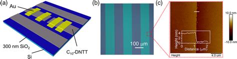Fabrication Of Monolayer Organic Field‐effect Transistors Ofets With Download Scientific