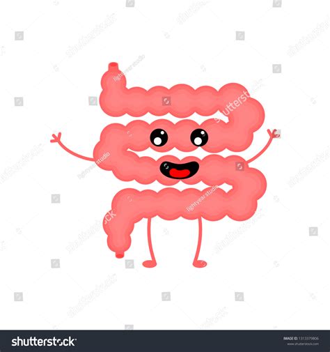 Small Intestine Cartoon