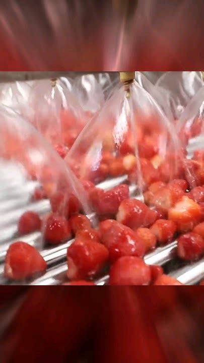 대량생산 식품공장의 과일 가공 및 세척 사과 딸기 Youtube