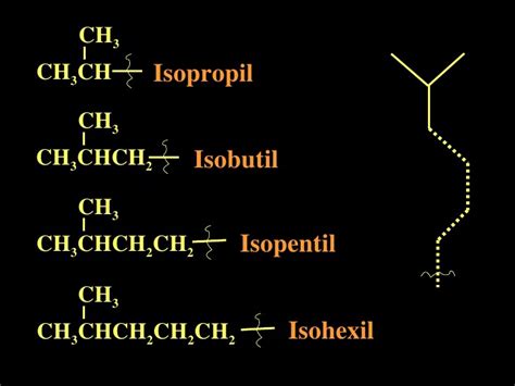 Cation Isobutil