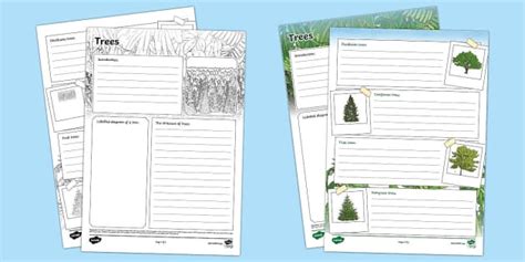 Trees Non Chronological Report Template Twinkl