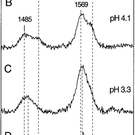 Rr Spectra Of Ferric Cyt C In The Marker Band Region Between 1300 And