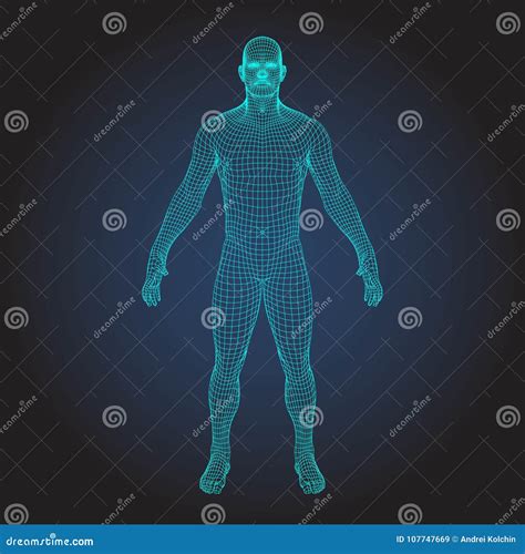 3d Wireframe Human Body Stock Vector Illustration Of Futuristic 107747669