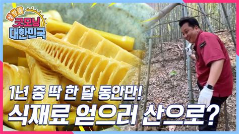 미식 투어 먹을 만한 한 끼 전라도에 숨은 맛의 비법 1년 중 딱 한 달 동안만 얻을 수 있는 귀한 식재료 굿모닝 대한민국 Kbs 250608 방송 Youtube