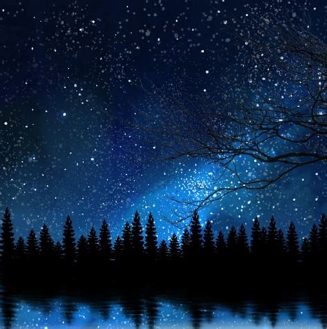 🔥 20 Beautiful Night Forest Wallpapers Wallpapersafari