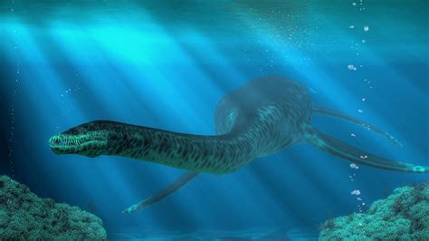 Exceptionally Rare Fossil Of Iconic Species Found With Soft Tissue