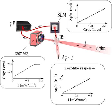 Enhanced Phase Measurements From Self Adaptive Holography