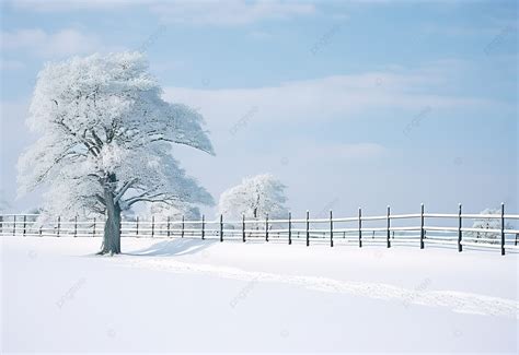 눈 덮인 들판 나무와 울타리 겨울 높은 해상도 국내여행 배경 일러스트 및 사진 무료 다운로드 Pngtree