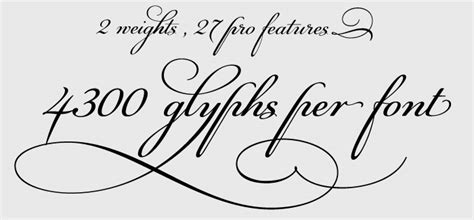 13 Champion Script Font Free Images Champion Script Pro Font Free