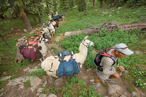 Summer Fun 2018 Hiking Buddies Aaa Colorado