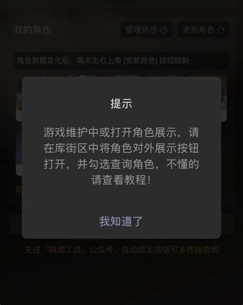 不懂就问 大佬们 鸣潮工坊怎么突然用不了了 Nga玩家社区