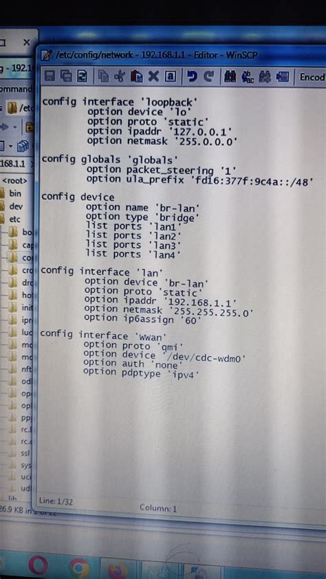 How To Make My Wan Ip Address Static Page 4 Network And Wireless Configuration OpenWrt Forum