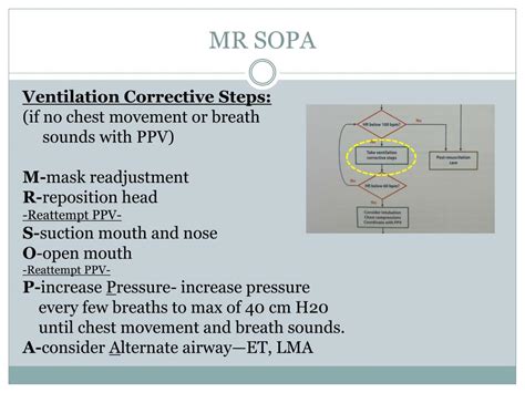 PPT NRP 6 Th Edition Update PowerPoint Presentation Free Download ID 1110177