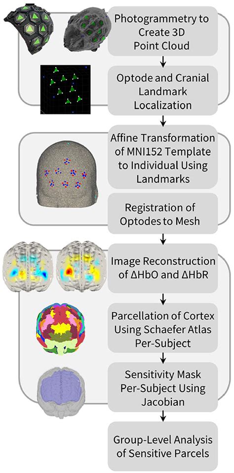 Frontiers Subject Specific Information Enhances Spatial Accuracy Of High Density Diffuse