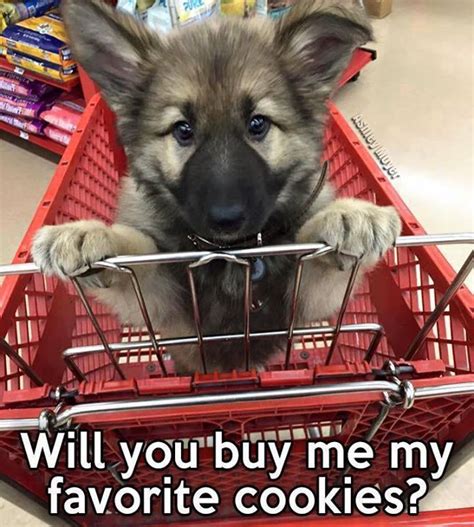 Porn Folder Google Drive Community