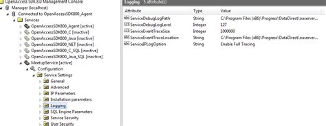 How To Build A Custom Odbc Connector For Rest Data Sources Using Datadirect Openaccess Sdk