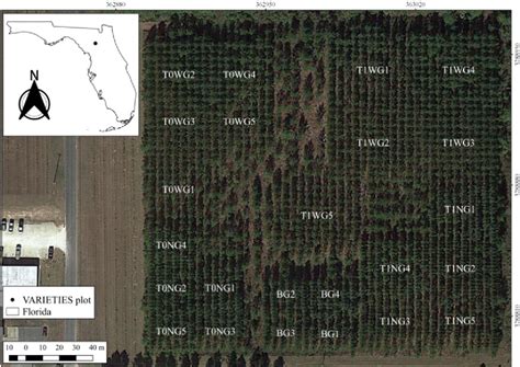 figure 1 from moving to automated tree inventory comparison of uas