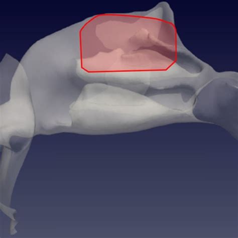 Maurizio Quadrio Professor Full Phd Politecnico Di Milano Milan Polimi Department