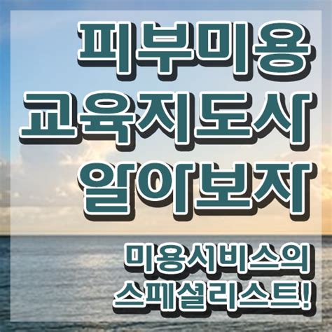 피부미용사 피부미용교육지도사 자격증 준비한 과정 정리 네이버 블로그