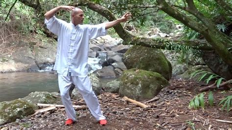 Les 18 Mouvements Du Tai Ji Qi Gong Forme 1 Or Tai Chi Qigong 18