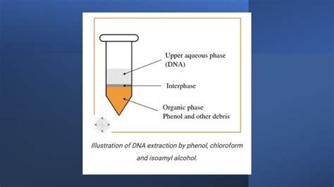 Different Techniques And Methods Of DNA And RNA Isolation Pptx