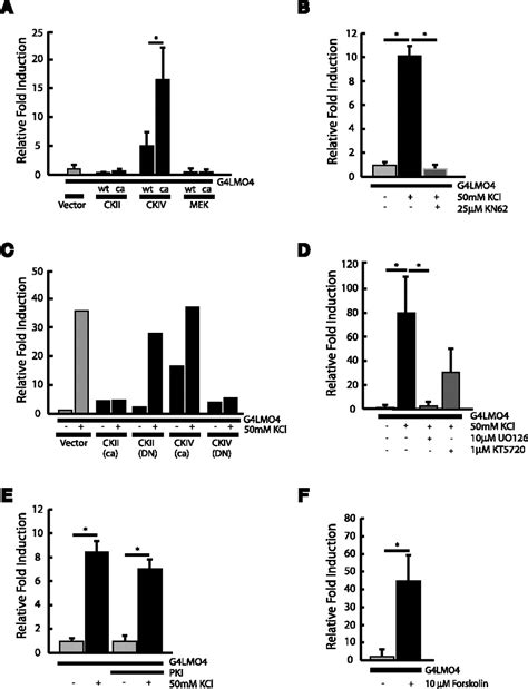 Calcium Activation Of The Lmo4 Transcription Complex And Its Role In The Patterning Of