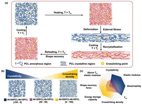 Influences Of Crystallinity And Crosslinking Density On The Shape
