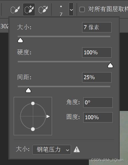 图像处理——如何给感兴趣区域制作掩膜图像？ps做掩膜 Csdn博客