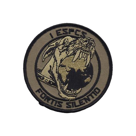 0001st Expeditionary Space Control Squadron Morale Version 2 Twill [subdued]