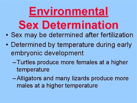 Sex Linkage And Sex Detrmination Test Cross A