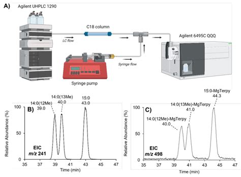 A Illustrative Schematic Of Post Column Charge Switching Lc Ms Ms Download Scientific Diagram